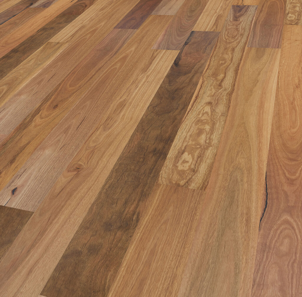 Eucalypt Collection – The Flooring Lab